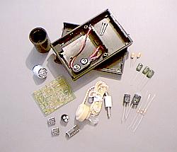 The Bat Shop ... Kits, Parts, & Assembled Detectors